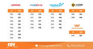 Tra cứu Đầu số các nhà mạng nhanh chóng (2023) - CGV Telecom